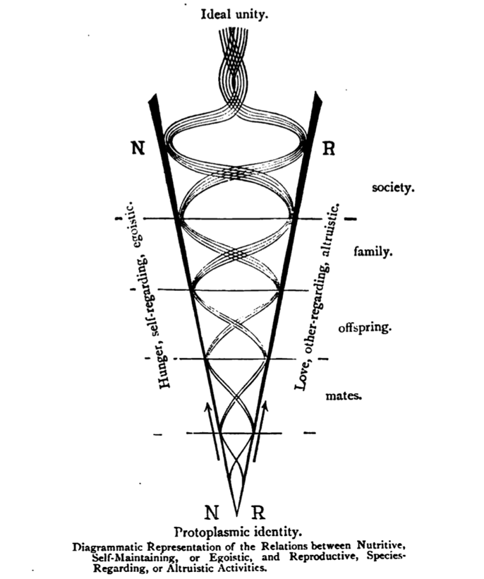 Patrick Geddes: A Solution to the City Planning Problem – Cafe ...